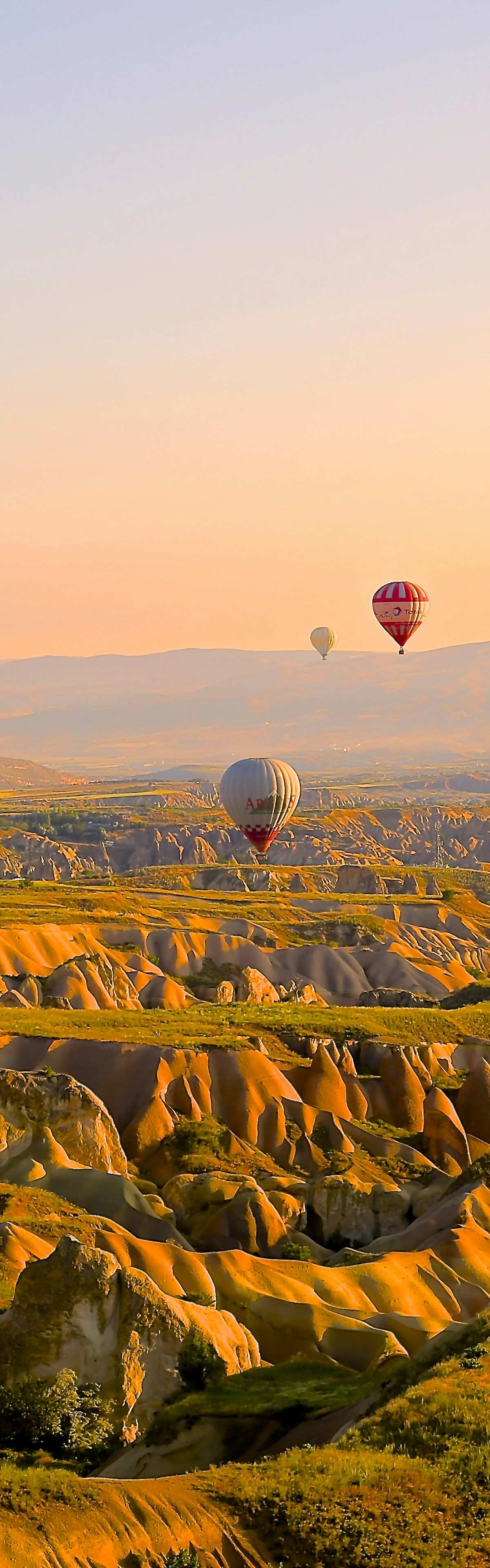 Travelipa | A global tours & travel marketplace.